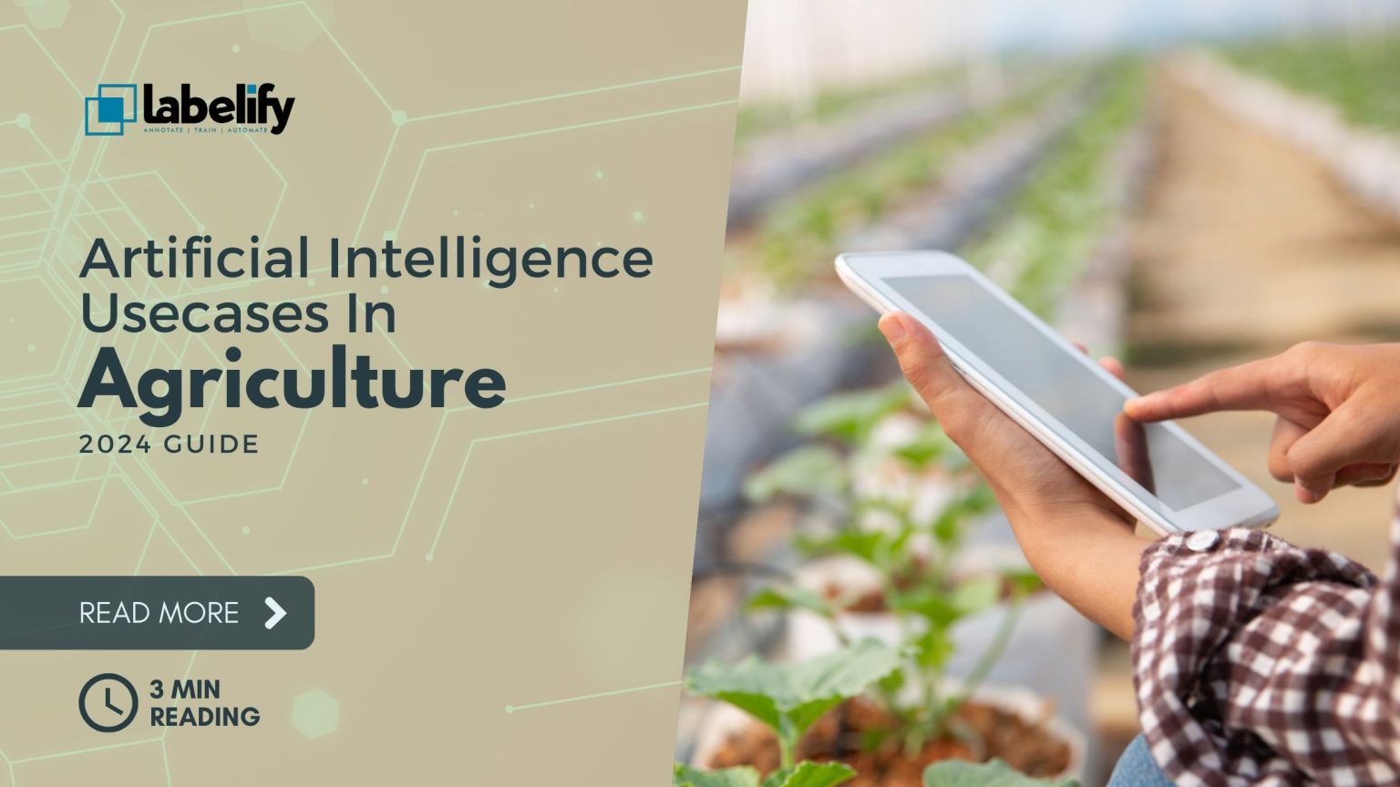 Artificial Intelligence Usecases in Agriculture 2024 Guide