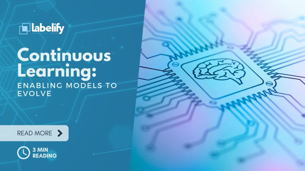 Continuous Learning: Enabling Models to Evolve - Labelify